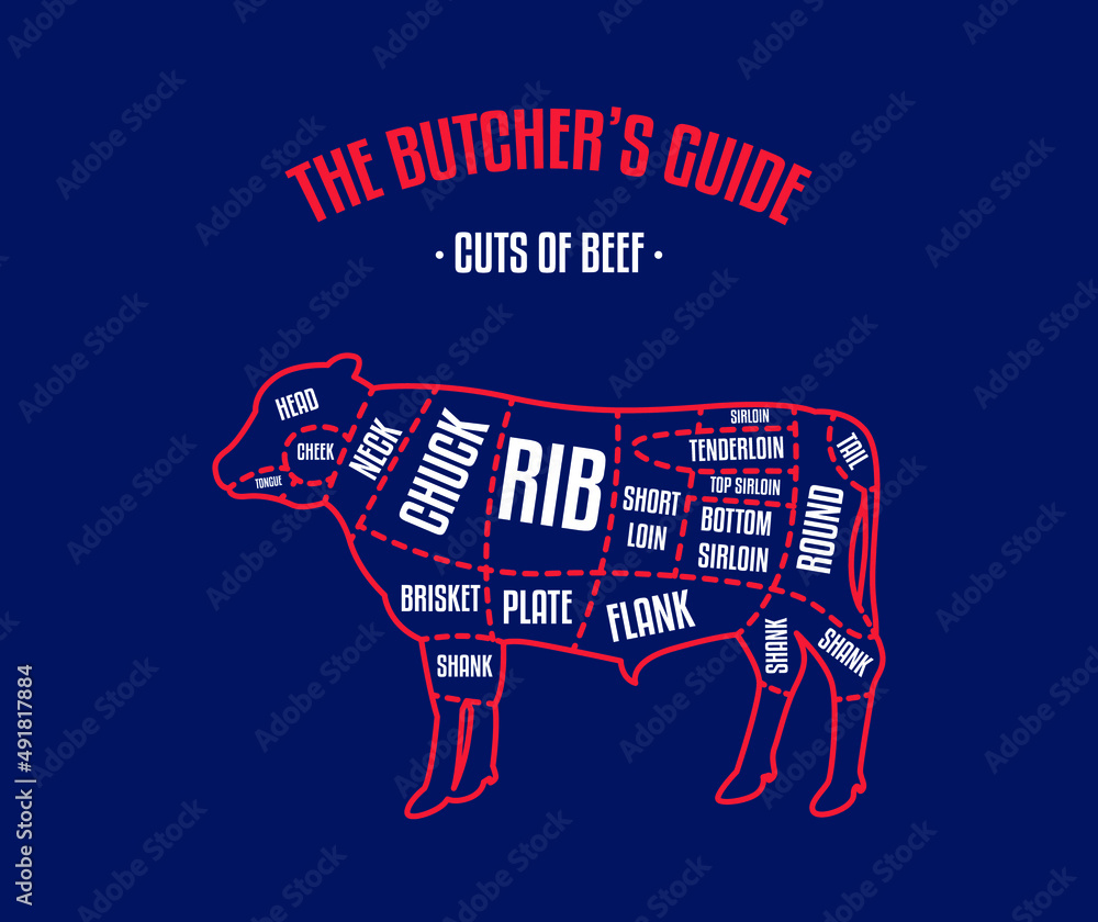 Meat and Beef cuts. Diagrams for butcher shop. Scheme of beef. Vector ...