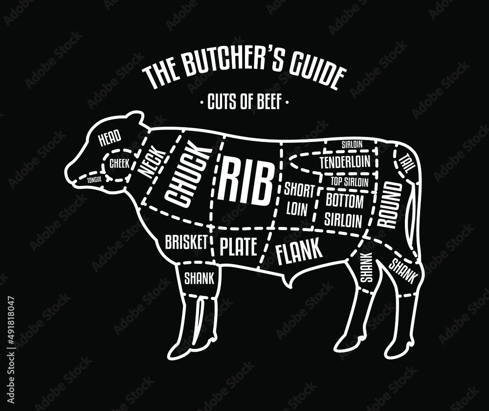 Meat and Beef cuts. Diagrams for butcher shop. Scheme of beef. Vector ...