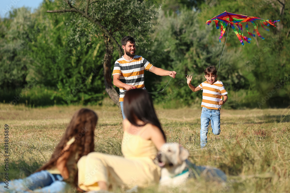 Cute little boy flying kite with his father outdoors Stock Photo ...