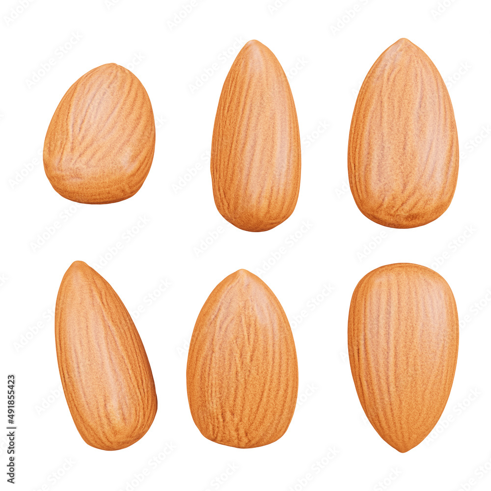 3d render of Almond collection isolated on white Background. Stock ...