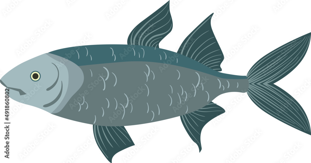 Poster Fish as Aquatic, Craniate, Gill-bearing Animal with Fins Side ...