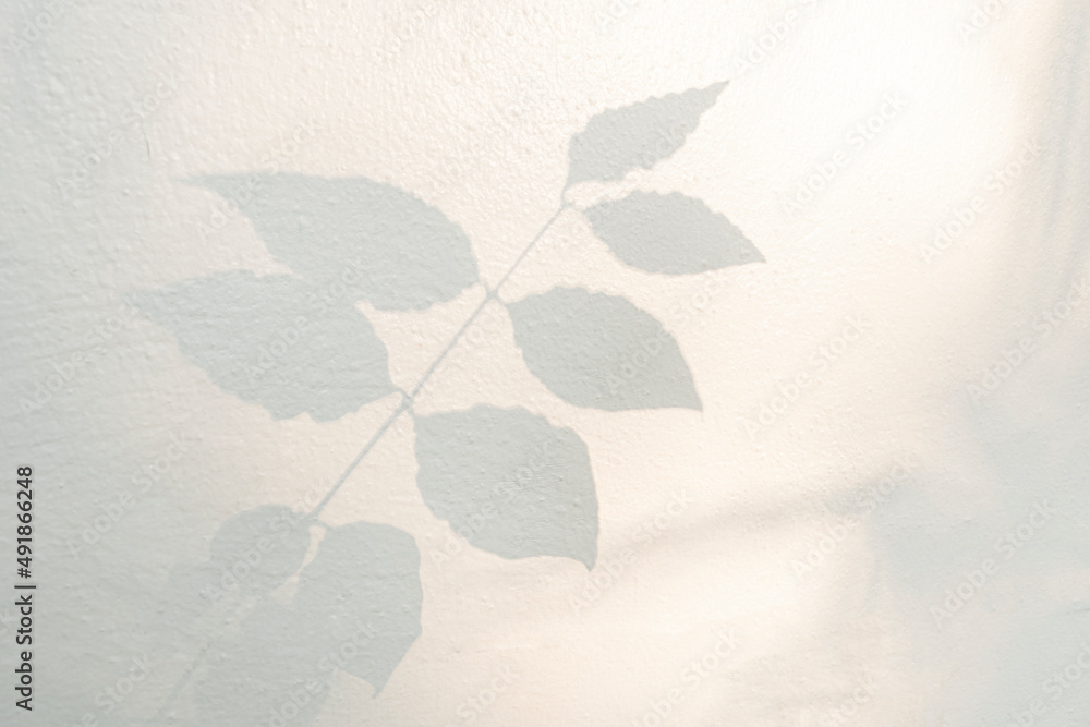 Leaf shadow and light on wall blur background. Nature tropical leaves ...