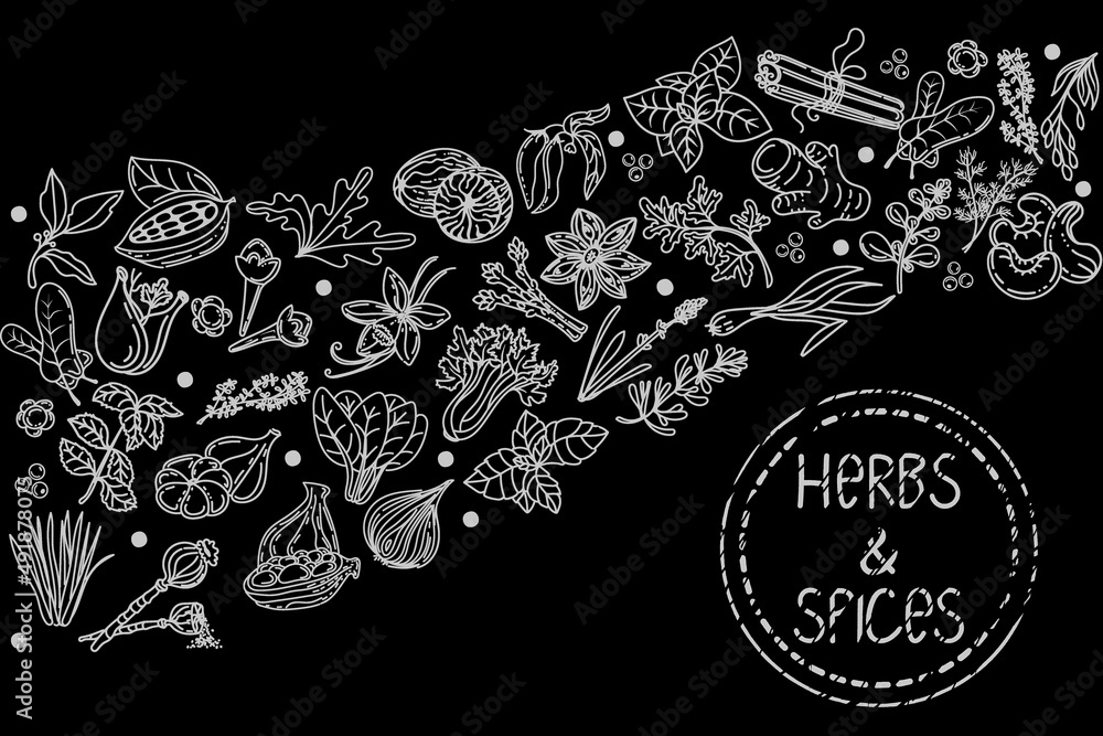 Herbs and spices, hand-drawn sketch-style elements. Hand-drawn food ...