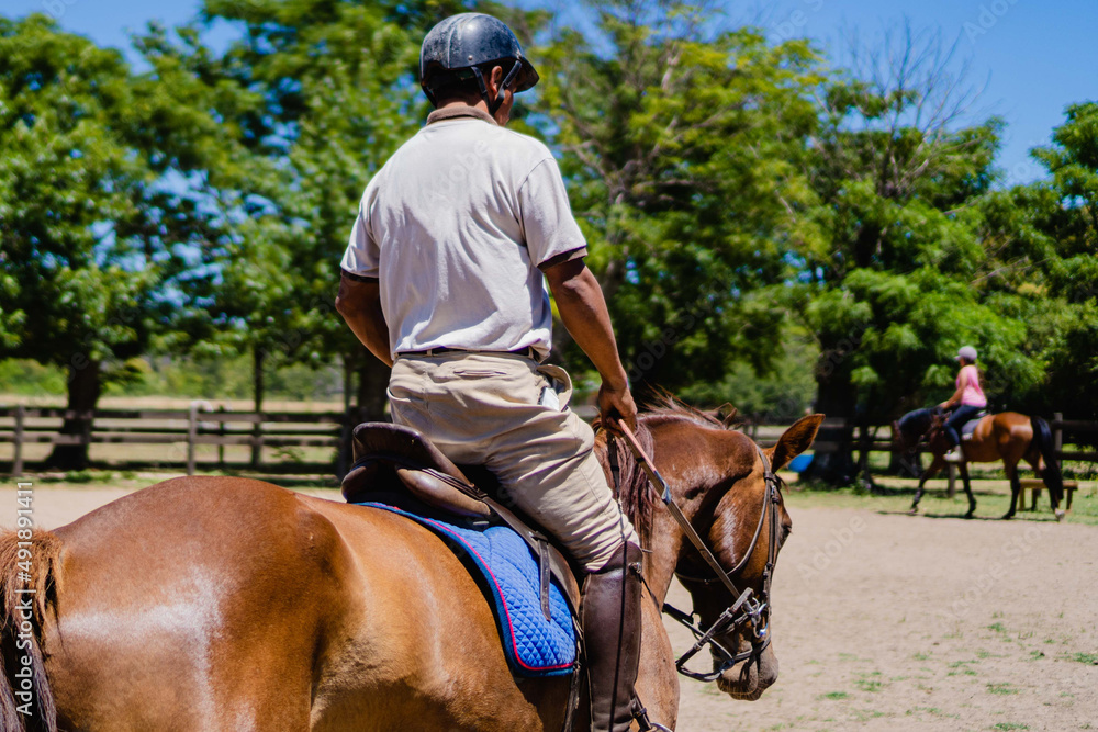 back of a young Latin male rider, mounted on top of a horse looking at ...