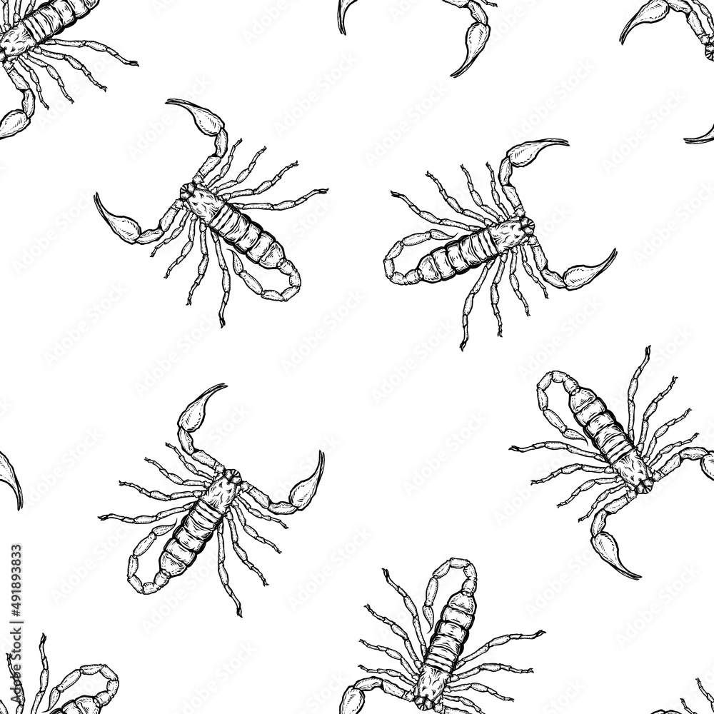 Seamless pattern of monochrome scorpions illustration. Vector ...