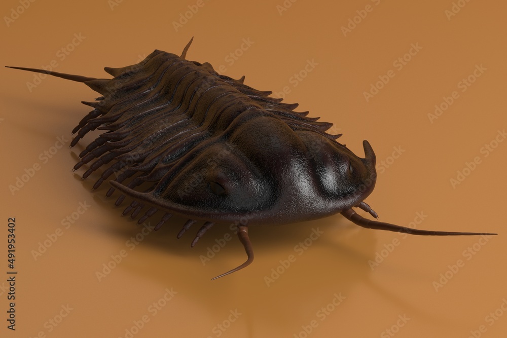 3d Render of the extinct trilobite, olenoides serratus, one of the ...
