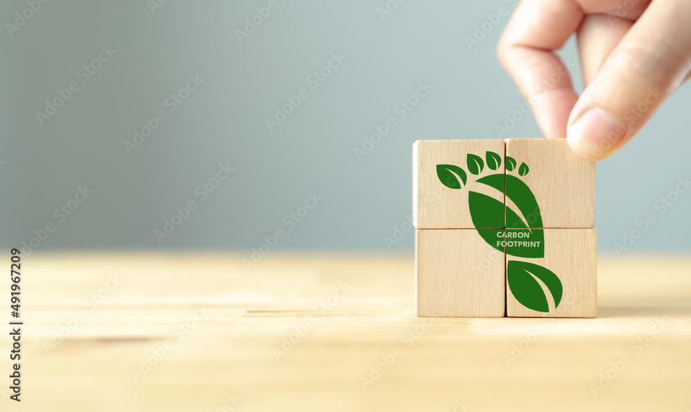 Carbon Footprint ,eco friendly, zero emission concept. Carbon ...