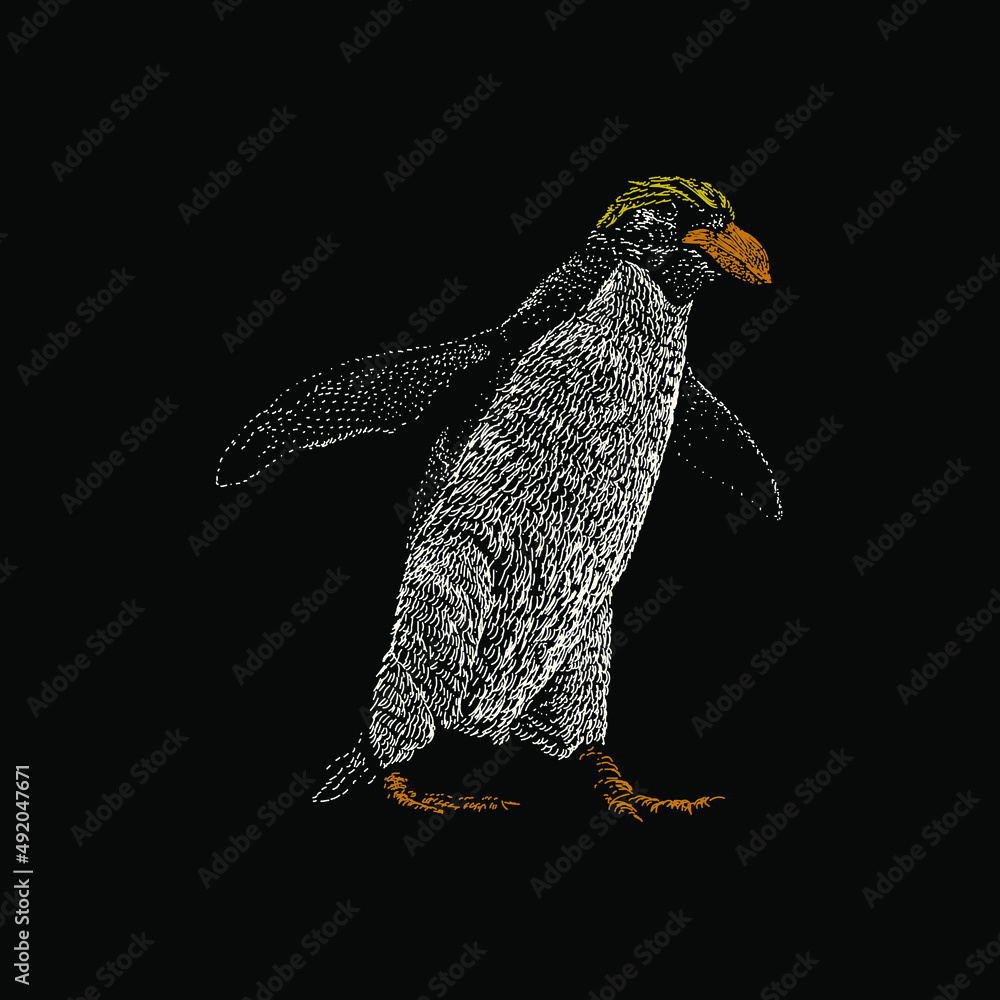 colored macaroni penguin hand drawing vector illustration isolated on ...