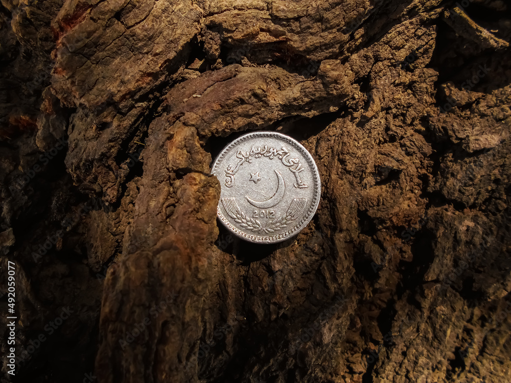 Pakistani Coin photo of two rupees. a coin with moon and star and ...