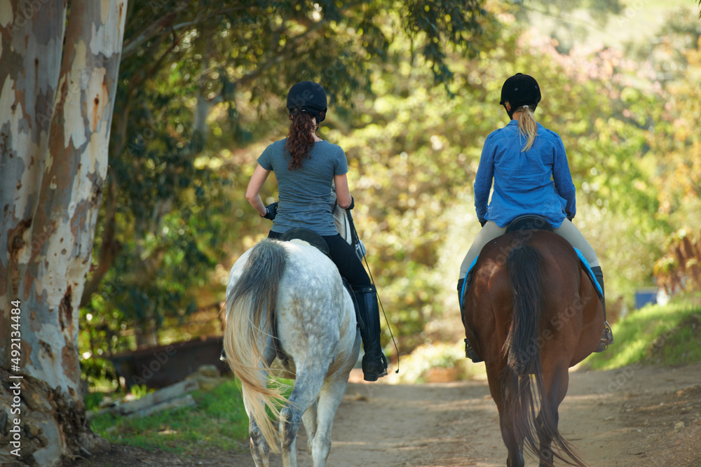 Taking their horses out into the wilderness. Rear view of two women ...