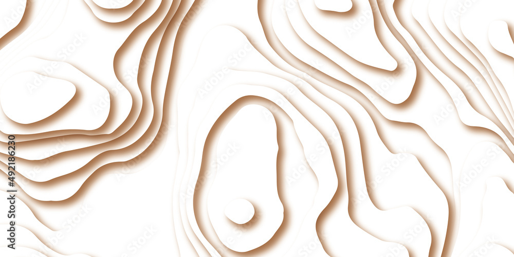 Topographic map in paper cut style. 3d abstract background with cut out ...