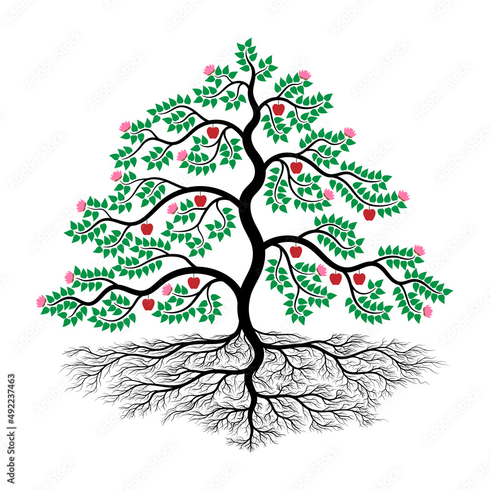 Illustration of a tree. Consists of roots, stems, branches, flowers ...