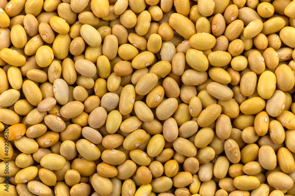 Raw peruvian (Canary) yellow beans. Uncooked peruano legumes. Food ...