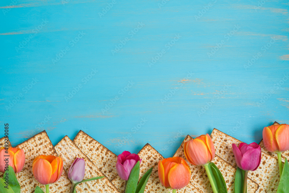 Passover border frame background. with matzah and tulip flowers over ...