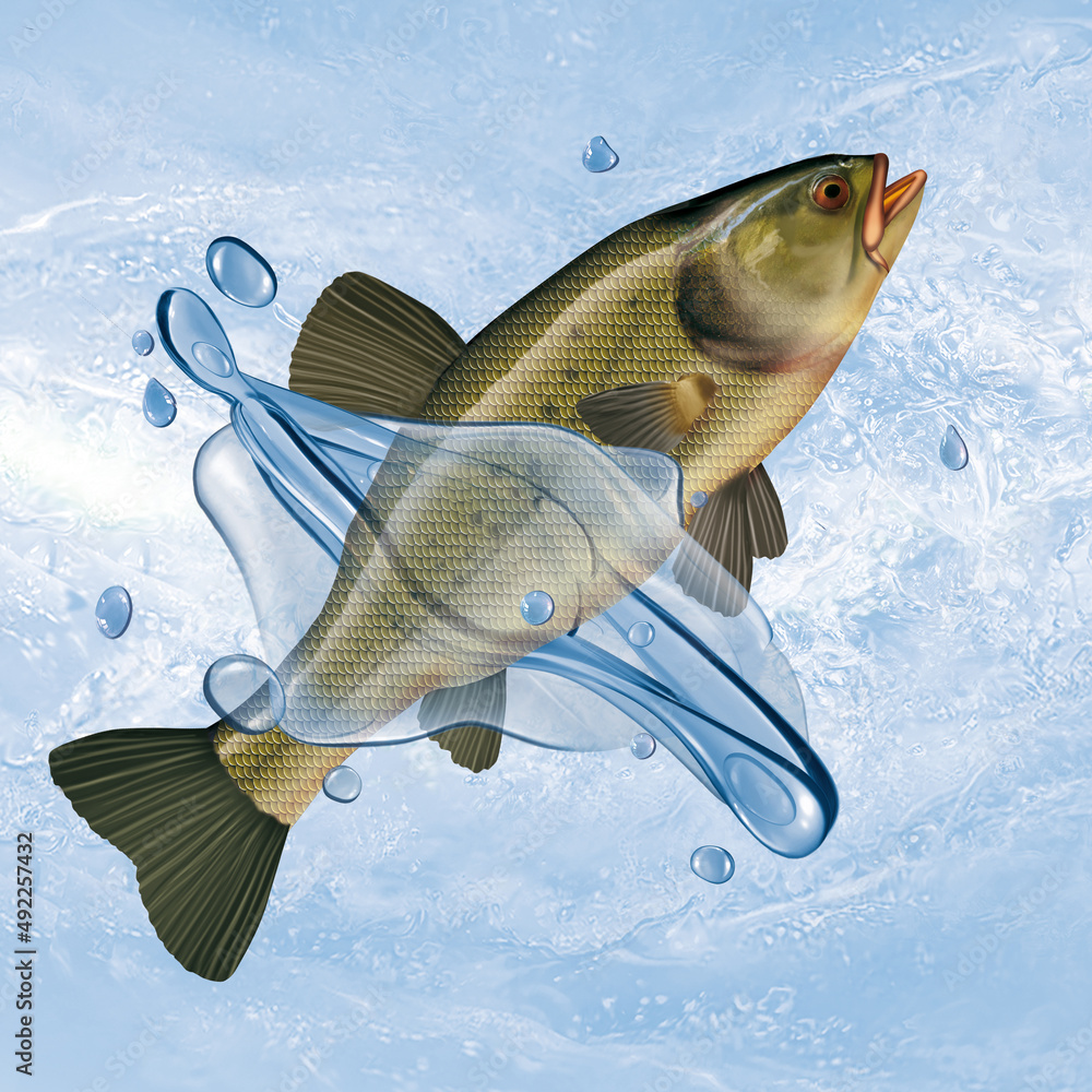 poisson ,tanche , animal, isolé, bulle, congelé, frais, glacé, froid ...