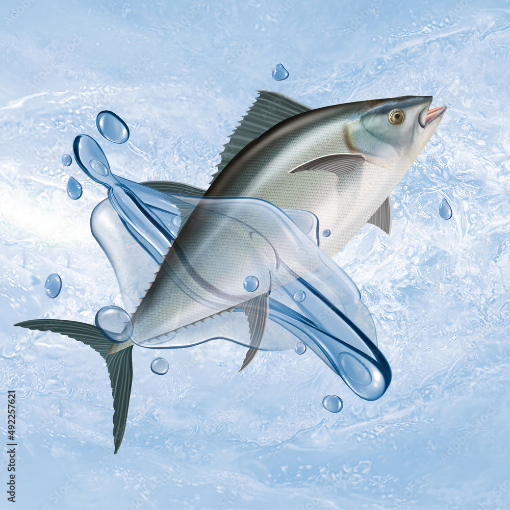 poisson , ton rouge , animal, isolé, bulle, congelé, frais, glacé ...