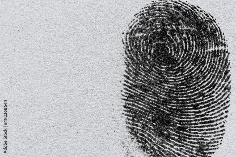 black macro fingerprint,Fingerprint detail,Real fingerprint in white ...