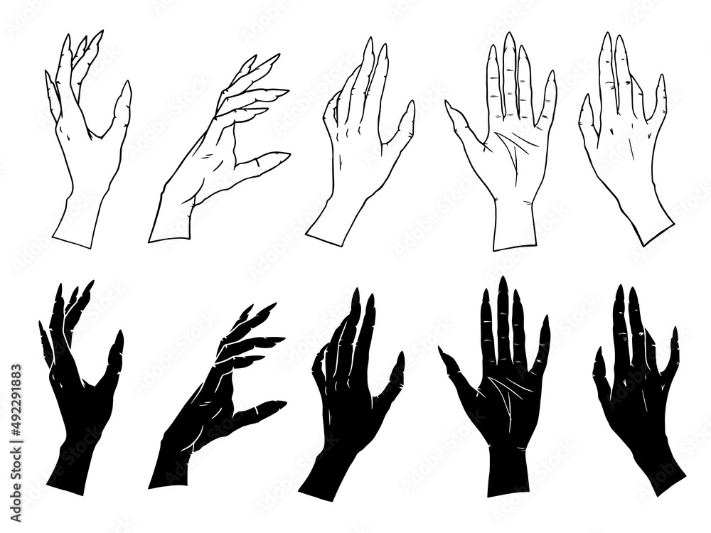 Hand drawn set of female witches hands in different poses. Vector ...
