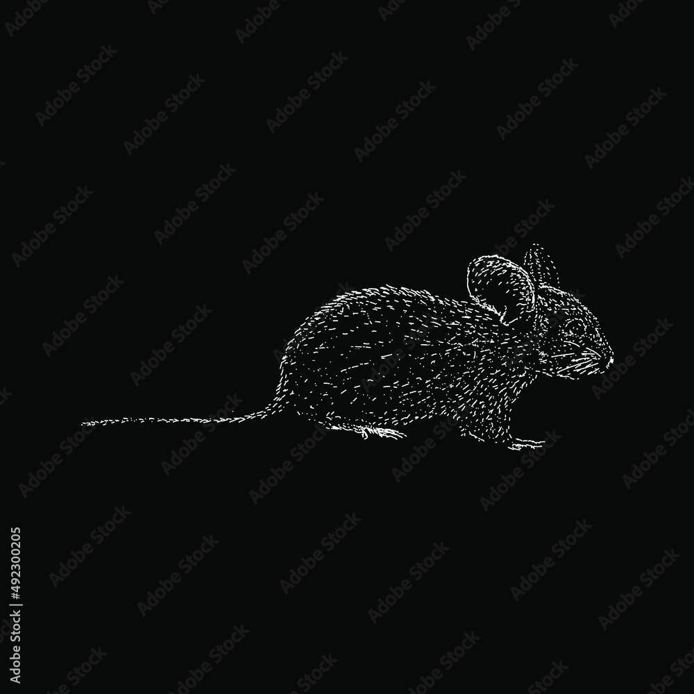 cactus mouse hand drawing vector illustration isolated on black ...