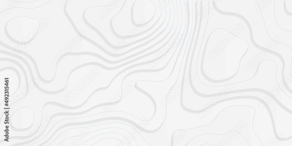 Topographic background and texture, monochrome image. 3D waves ...