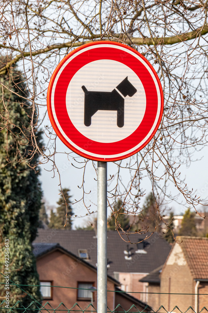 Dogs prohibited sign, round metal board with a red border with a ...