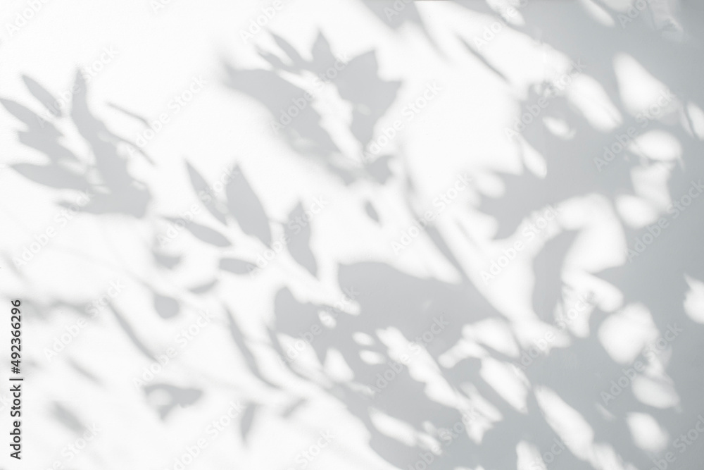 Leaf shadow and light on wall blur background. Nature tropical leaves ...