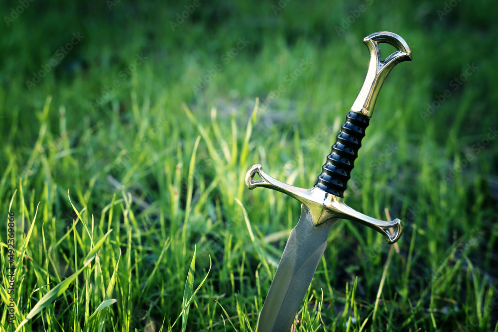 mysterious and magical photo of silver sword in the England woods and ...