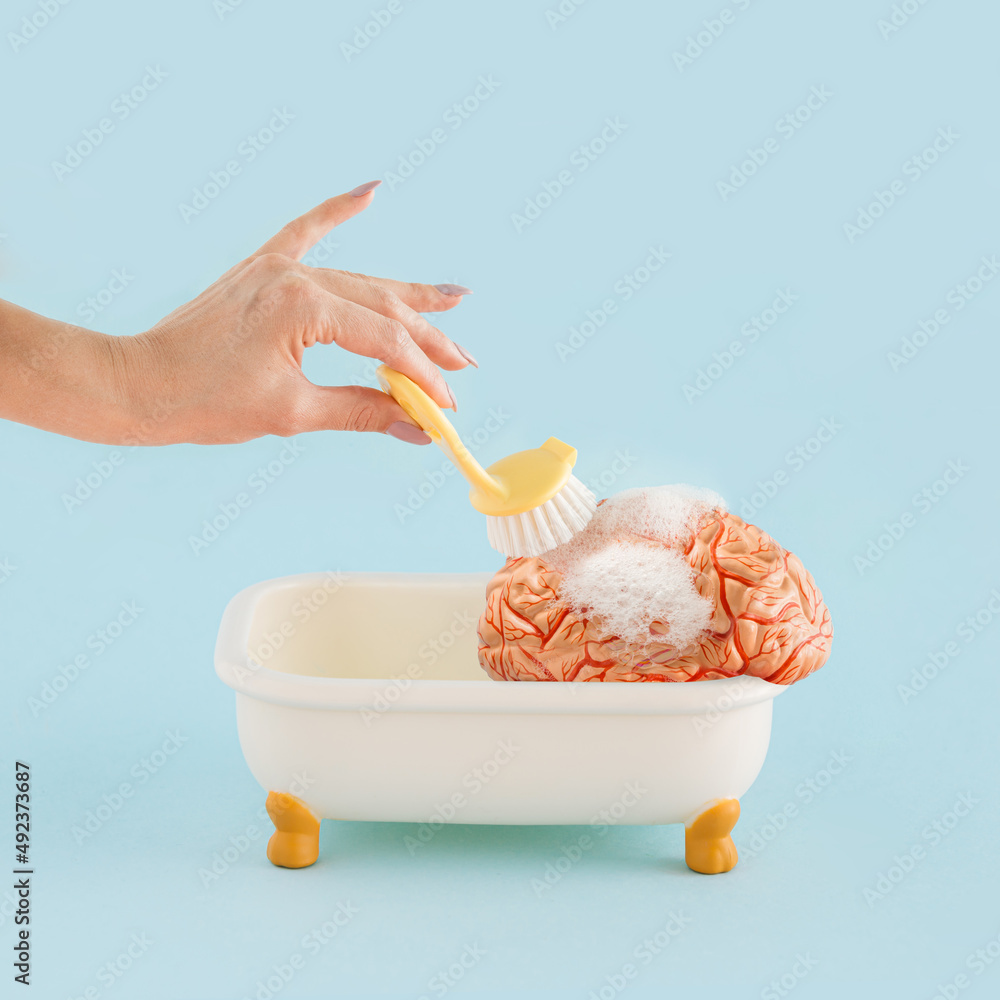 Young female hand with brush washes model of human brain in tub with ...