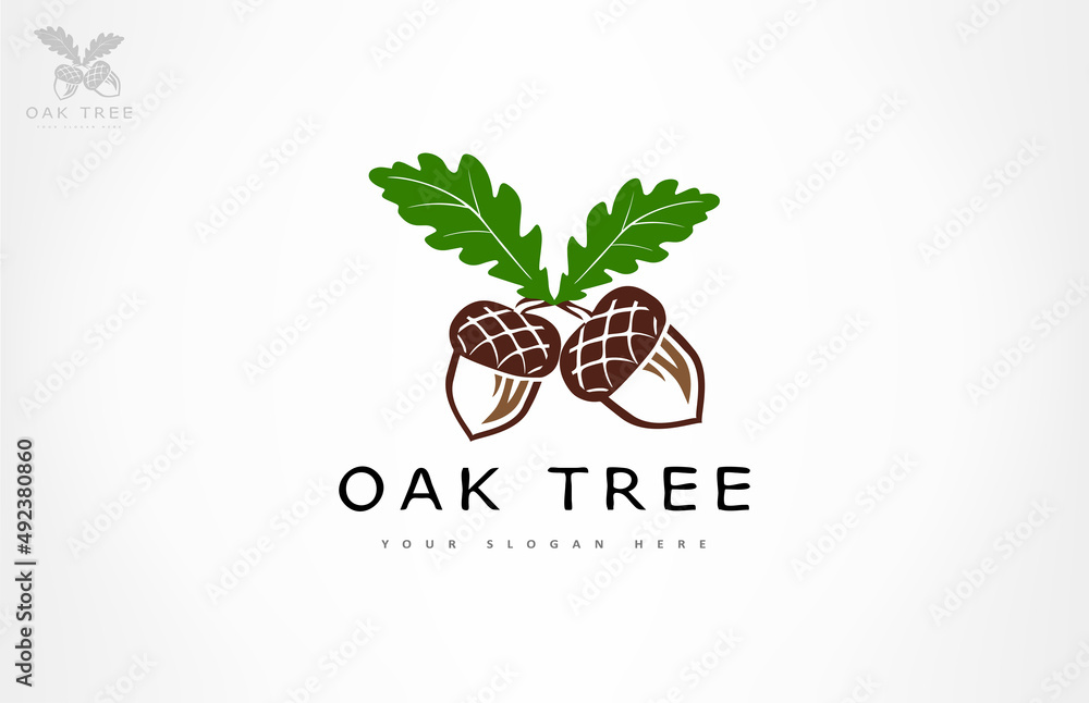 Oak tree logo. Acorn vector. Stock Vector | Adobe Stock