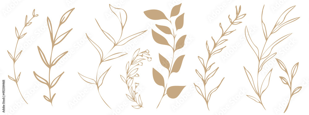 Vector plants and grasses. Minimalist style in brown colors of hand ...
