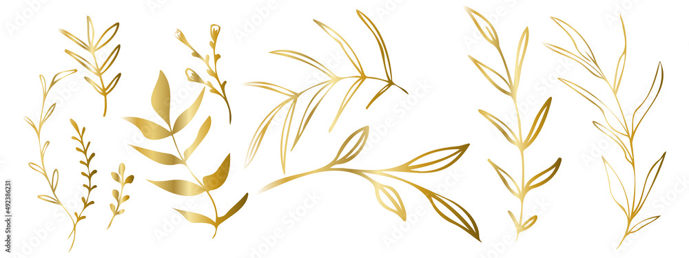 Vector plants and grasses in gold style with shiny effects. Minimalist ...