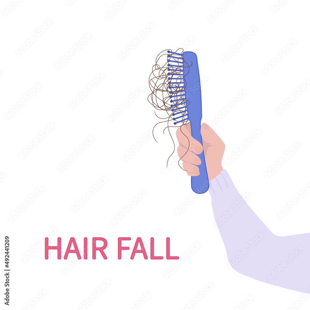 Hand showing hair clump stuck in the hairbrush. Excessive hair fall ...