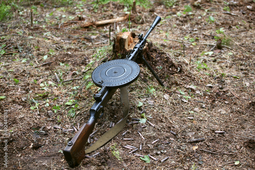 A 7.62 m Degtyarev hand machine gun on the ground in the forest ...