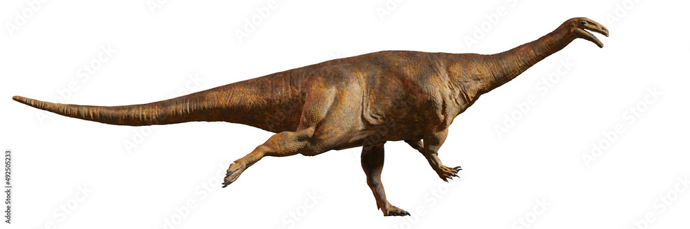 Plateosaurus, dinosaur from the Late Triassic period isolated on white background Stock ...