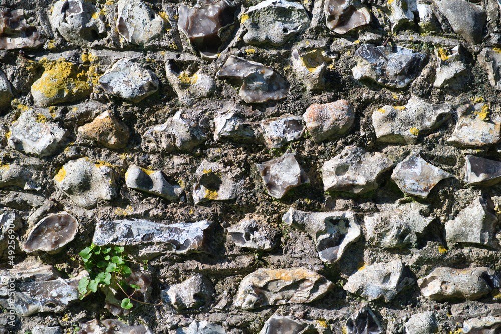 Rocky Wall Texture in Detail Stock Photo | Adobe Stock