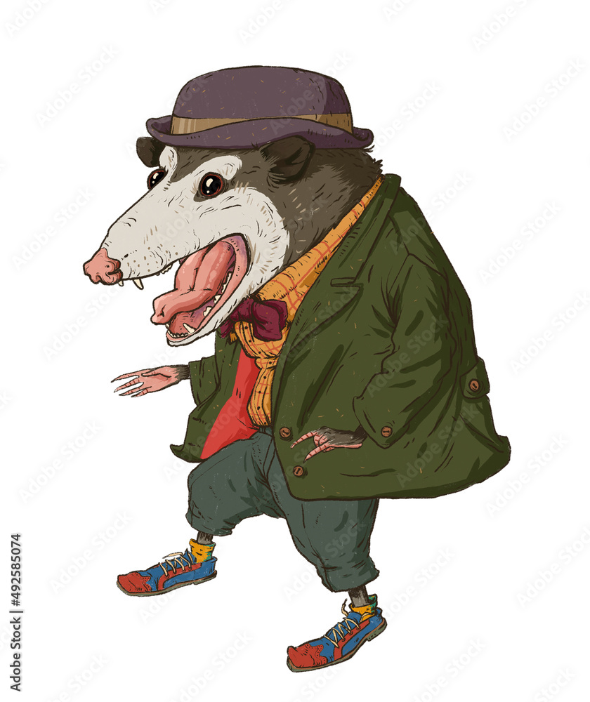 A Happy Possum in profile with his tongue hanging out, isolated ...