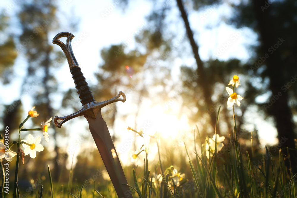 mysterious and magical photo of silver sword in the England woods and ...