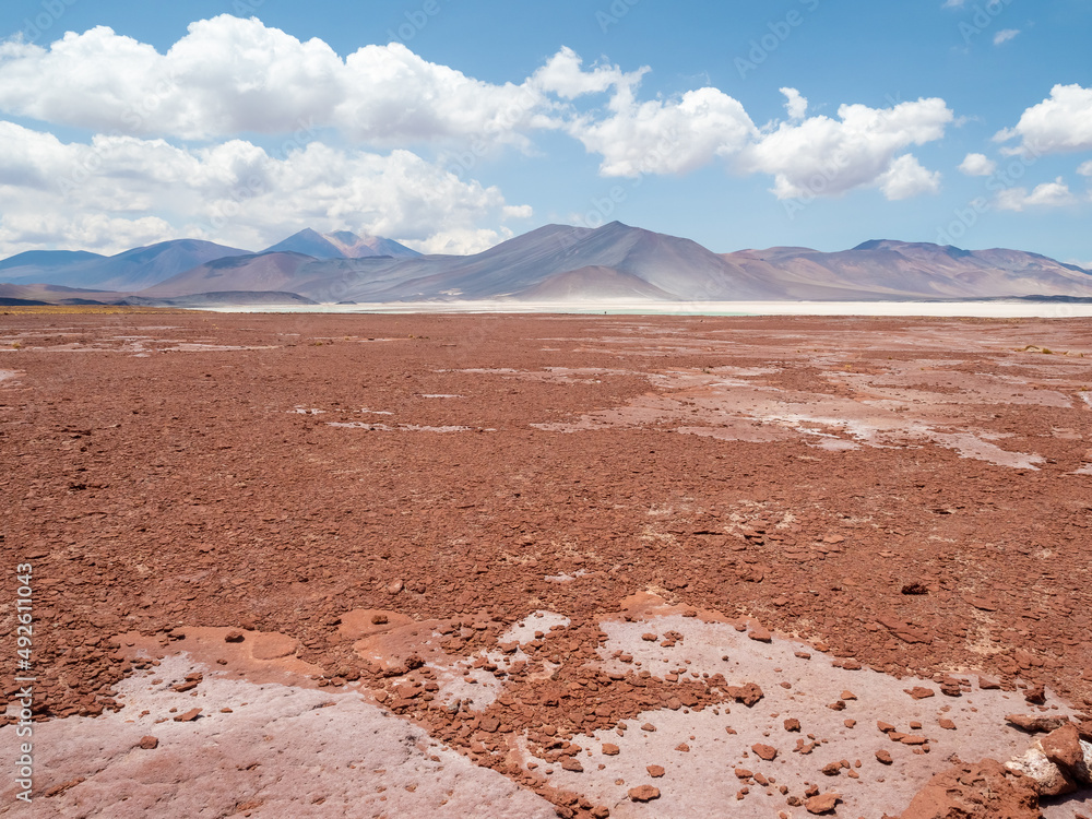 Piedras Rojas (Red Stones) a volcanic salt lagoon (4200 mts above sea ...