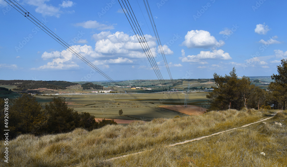 Paisajes de campos de cultivo de trigo. Stock Photo | Adobe Stock