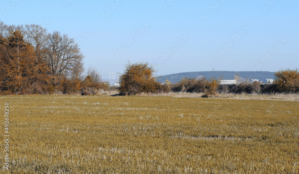 Paisajes de campos de cultivo de trigo. Stock Photo | Adobe Stock
