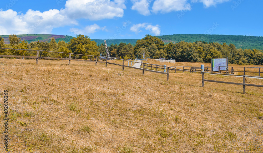 Paisajes de campos de cultivo de trigo. Stock Photo | Adobe Stock