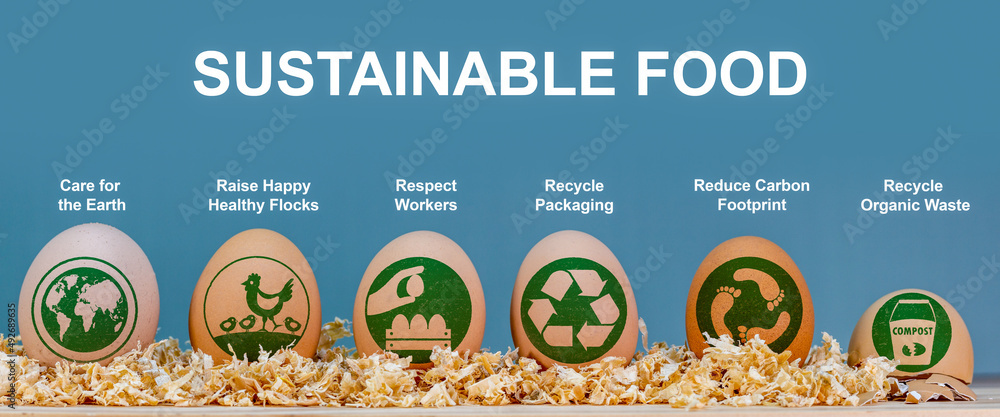 Sustainable food labels and icons on eggs, environmental and ethical ...