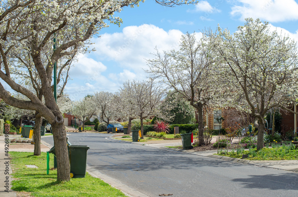Foto de Beautiful Australian neighborhood view with garbage bins and ...