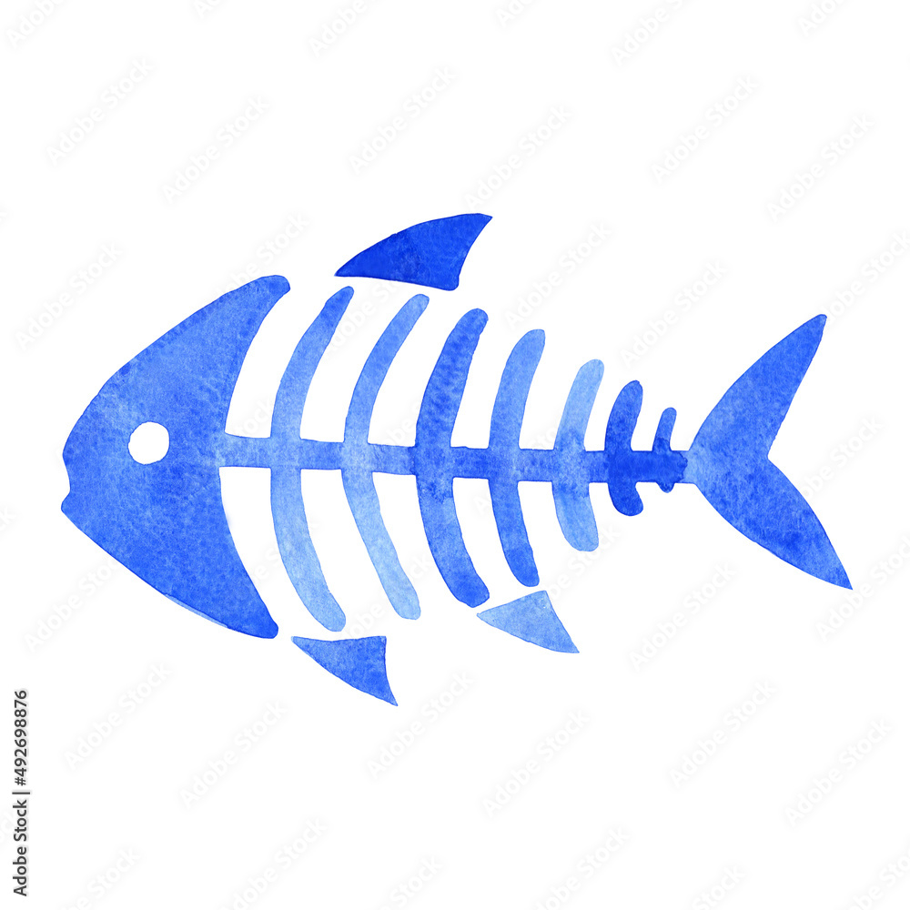 skeleton ocean fish isolated watercolor illustration for decoration on ...