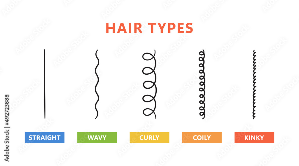 Classification of hair types - straight, wavy, curly, coily, kinky ...