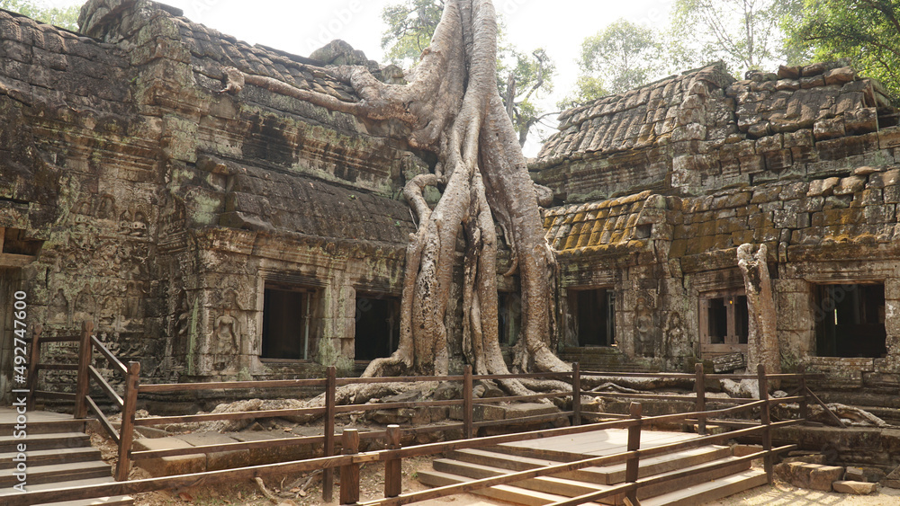 Ta Prohm temples with big tree roots in the jungle of Angkor Wat near ...