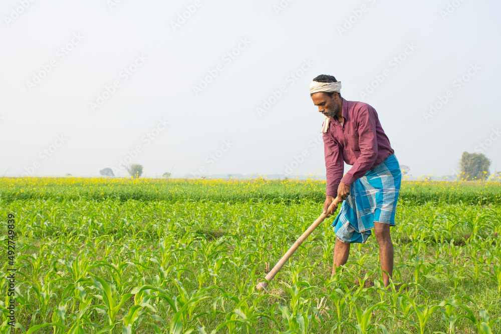 Indian Farmer Working In Agriculture Field Stock Photo | Adobe Stock