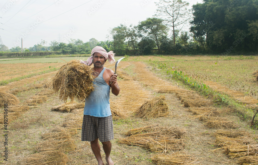 An Indian farmer working in his field. India Stock Photo | Adobe Stock