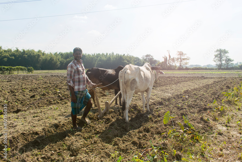 portrait of indian farmer Stock Photo | Adobe Stock