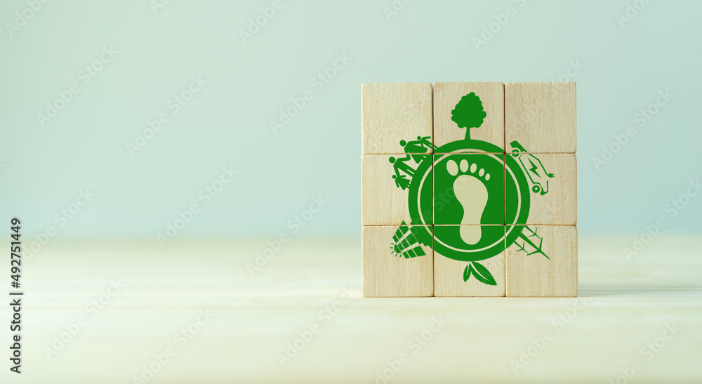 Carbon footprint, net zero emission concept. Carbon ecological ...